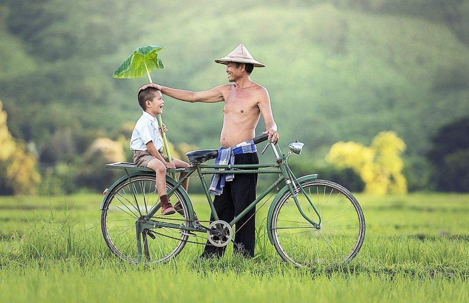 100 Ucapan Selamat Hari Ayah Yang Menyentuh Hati Status Medsos